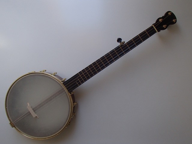 March instruments – Zach Hoyt Banjos Etc.