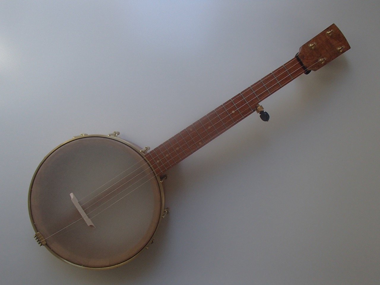 October banjos – Zach Hoyt Banjos Etc.